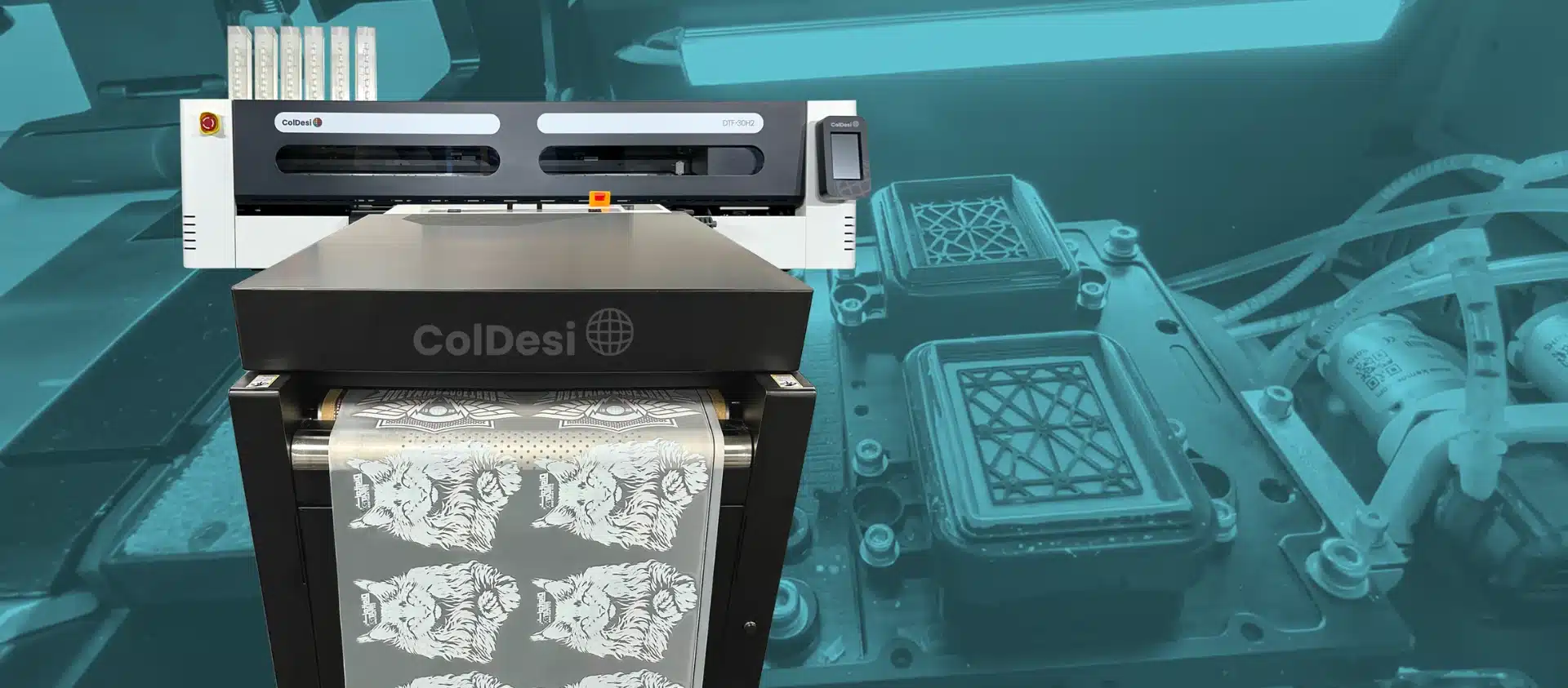 Thank You - Global.ColDesi.com