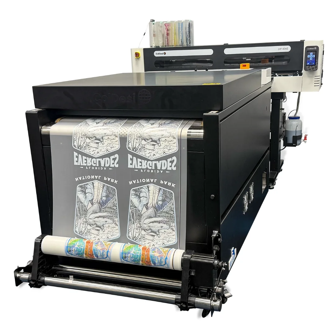 DTF Printing White Paper - Global.ColDesi.com
