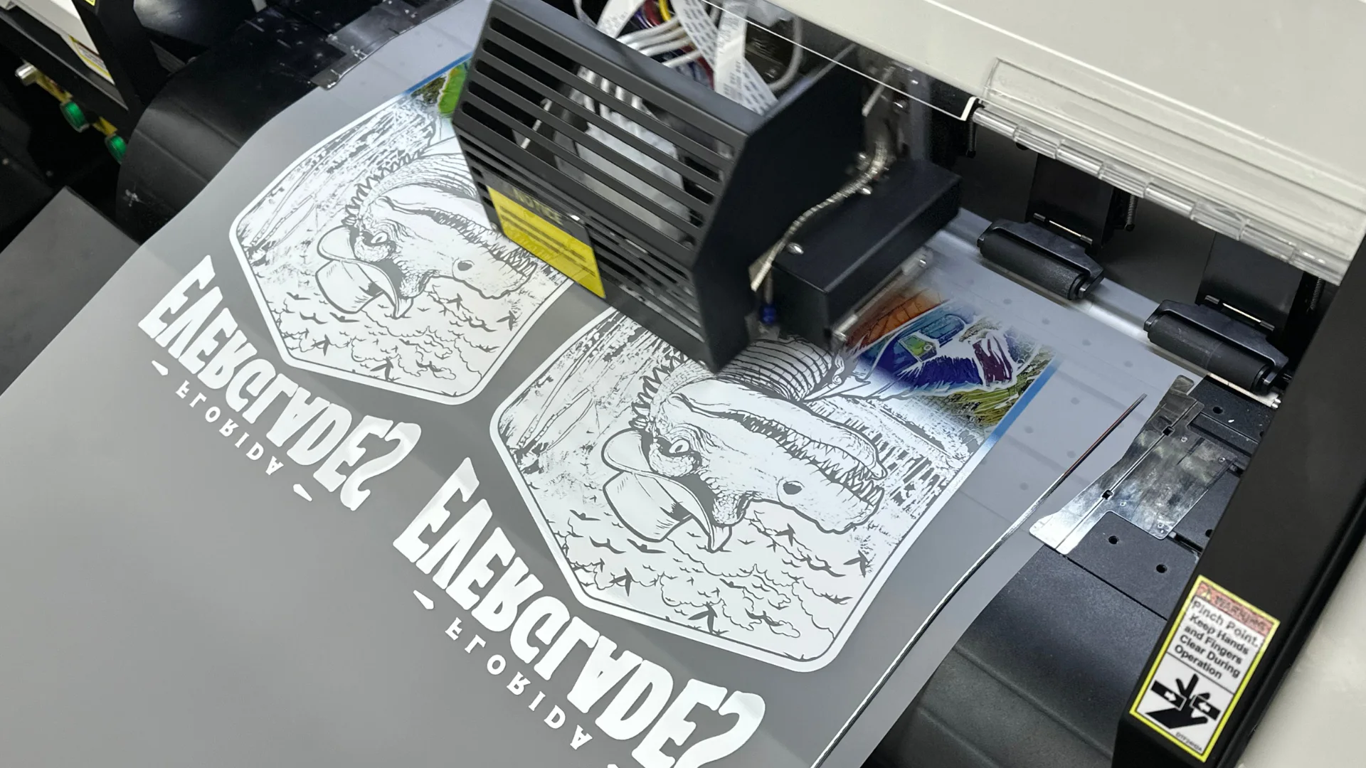 DTF Printing White Paper - Global.ColDesi.com